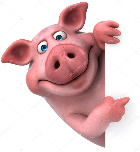 The Truth About The US Pig Industry... – Freedom Farms, Greene, NY