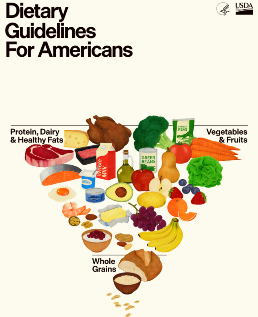 The MAHA Movement: Why the Food Pyramid Is Finally Changing – Freedom ...