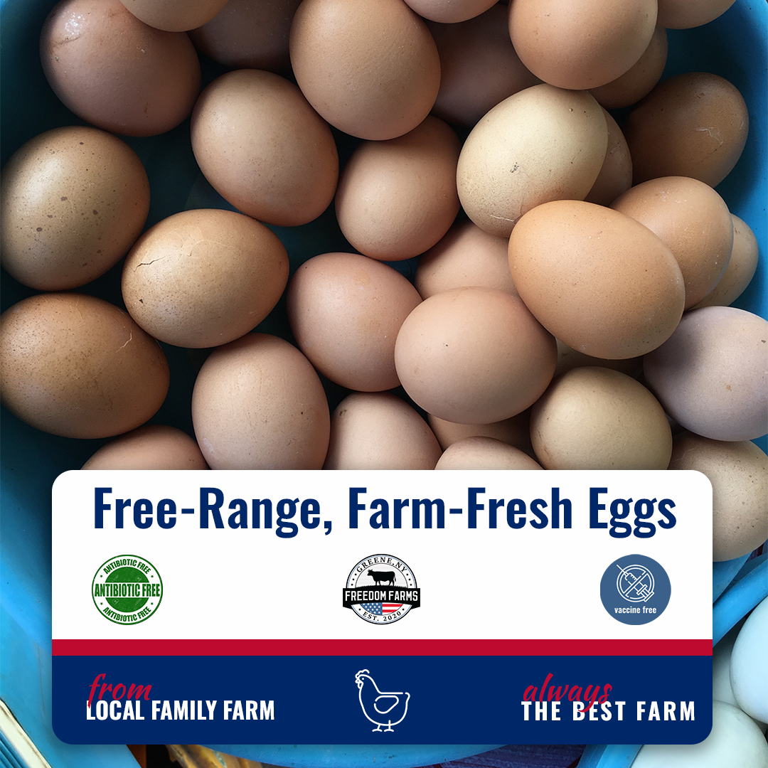 Farm Raised, Pasture Raised, Farm-Fresh Eggs (Dozen) - Freedom Farms ...